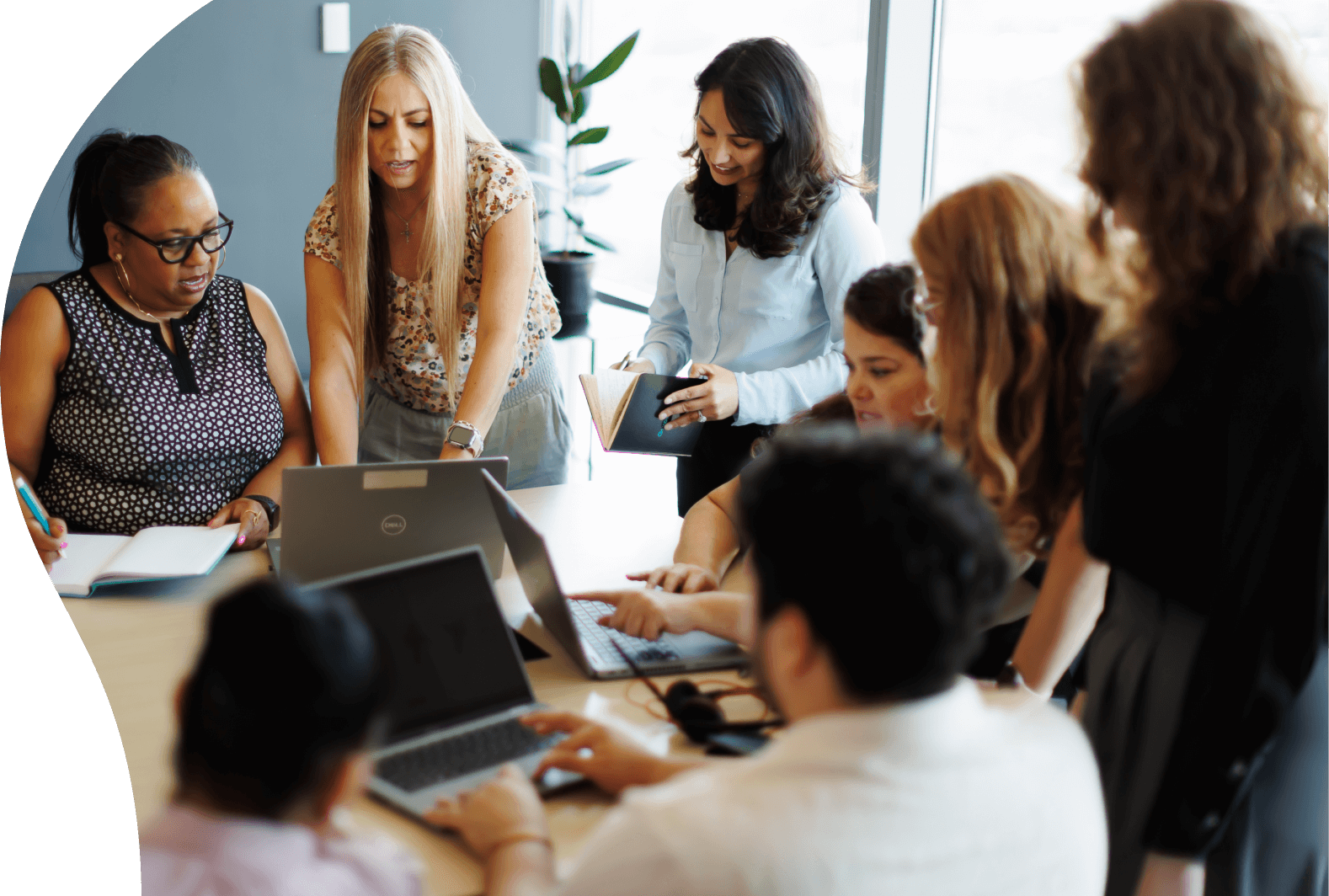 Hospital Health Systems | WebTPA